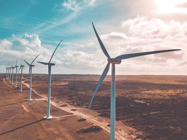 Meet INI: Your Leading Climate Change Consulting Firm